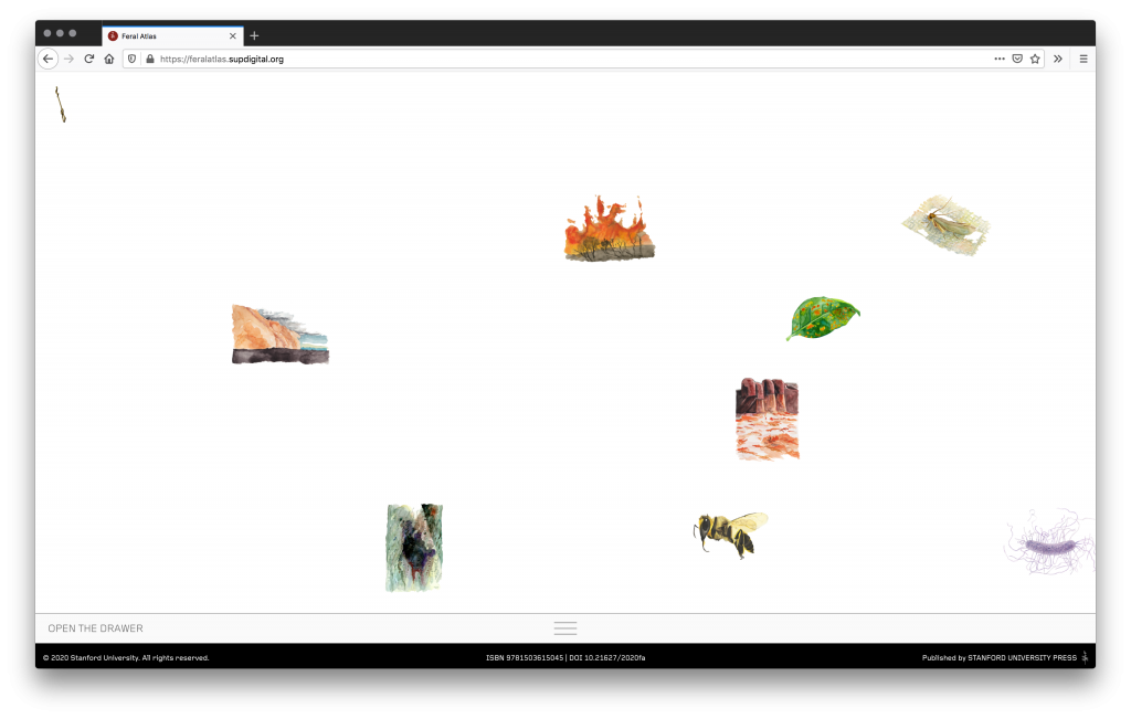 Big histories are always best told through insistent, if humble, details – The Scalability Project